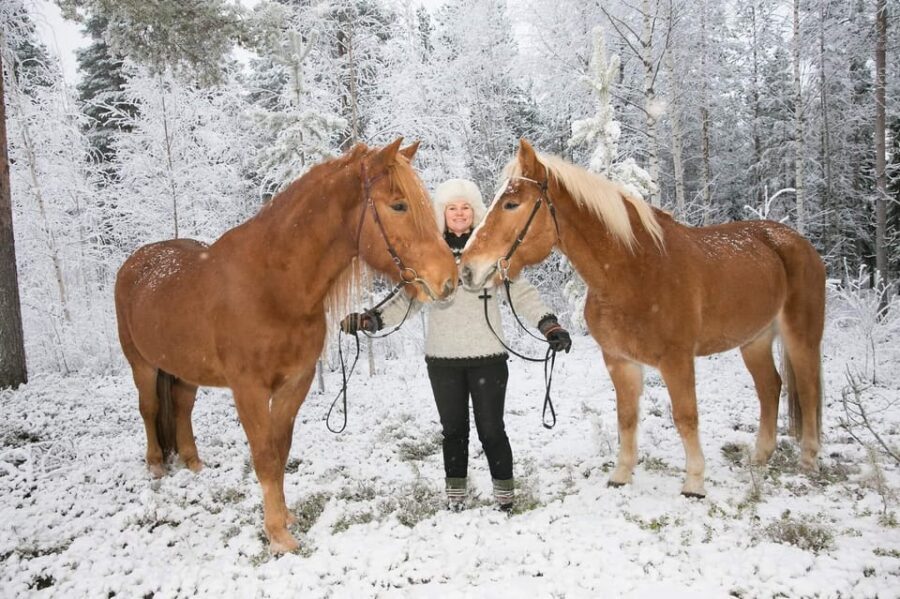 Rovaniemi: Late Night Ride with Finnhorses - Key Points