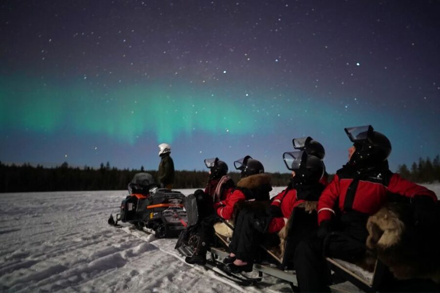 Rovaniemi: Northern Lights Sleigh Ride - Who Should Consider This Tour?