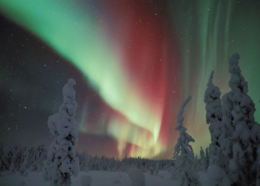 Rovaniemi: Northern Lights Snowmobile Safari with Campfire - The Experience: Pros and Cons