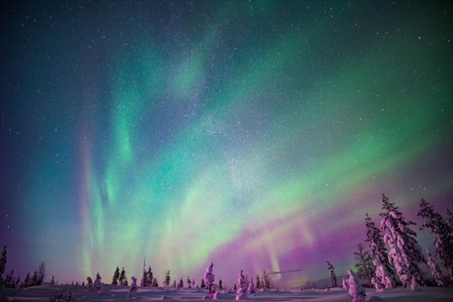 Rovaniemi: Northern Lights Snowmobile Tour - Authentic Moments and Guest Feedback