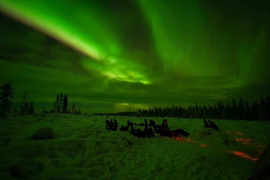Rovaniemi: Northern Lights Tour at the Campfire - The Sum Up