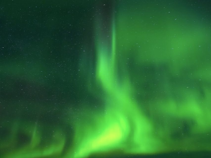 Rovaniemi: Northern Lights Tour with Guaranteed Sightings - A Day in the Arctic: What to Expect