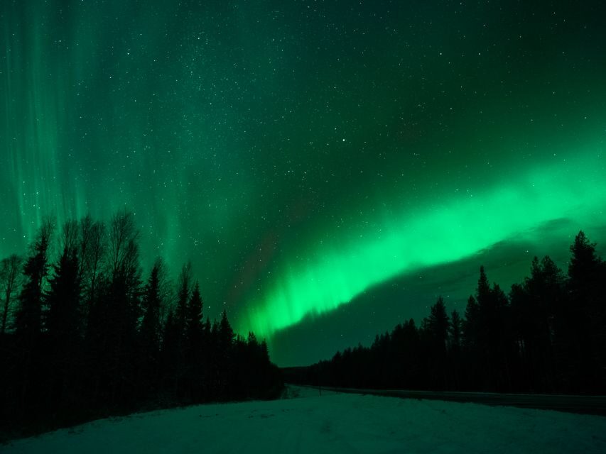 Rovaniemi: Private Tour with Guaranteed Northern Lights - Why It’s a Great Choice