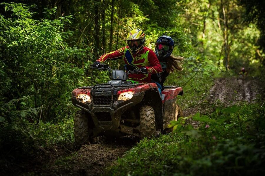 Rovaniemi: Quad Bike Wilderness Safari - What to Expect During Your Safari
