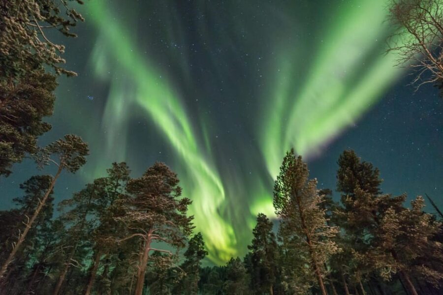 Rovaniemi: Reindeer Safari and Northern Lights Tour - Evaluating the Value