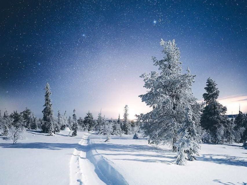 Rovaniemi: Riisitunturi Full-Day Wilderness Adventure & BBQ - Is This Tour Worth the Price?