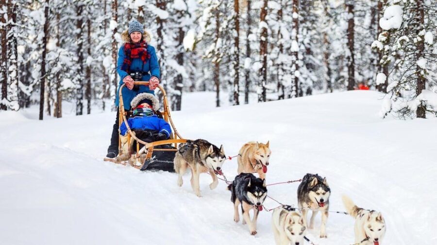 Rovaniemi: Santa Claus Village + Husky & Reindeer Sled Ride - The Experience of Guides and Atmosphere