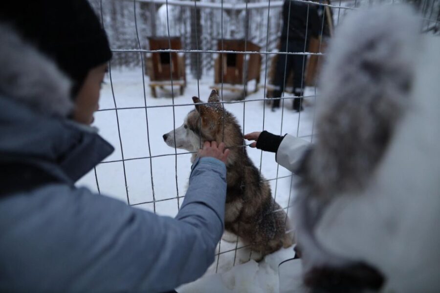 Rovaniemi: Santa Claus Village Tour Huskies & Reindeer Visit - Who Should Consider This Tour?