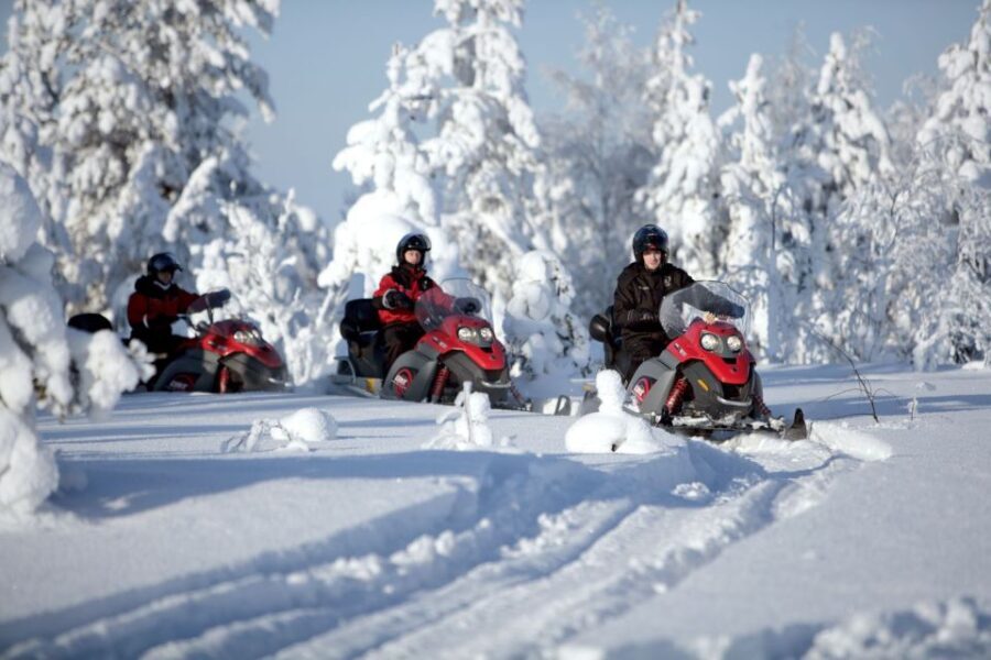 Rovaniemi: Snowmobile Safari Adventure - What You’ll Love About This Tour