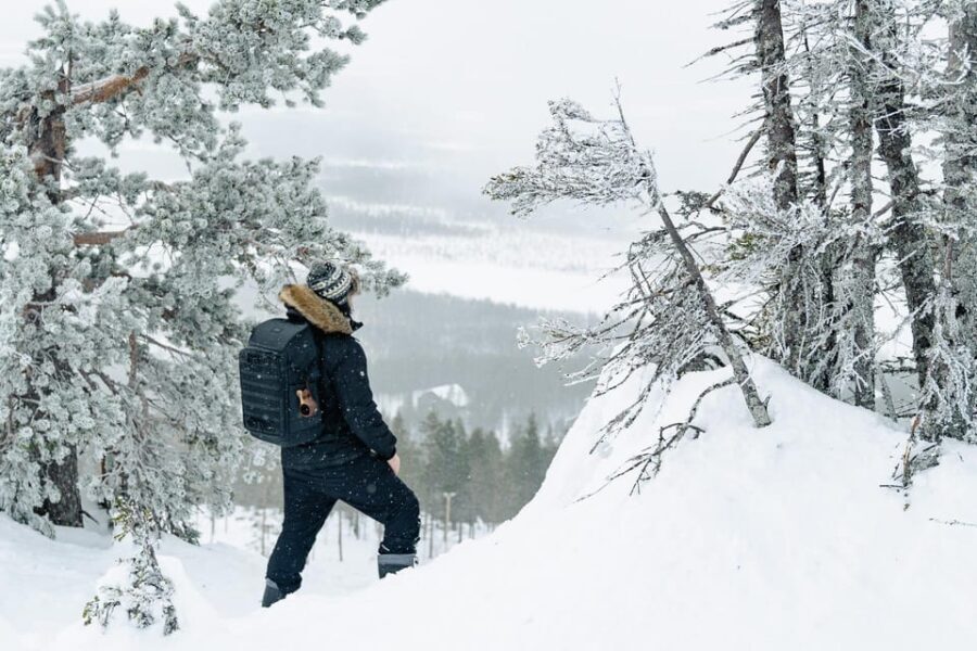 Rovaniemi: Snowshoeing in the Arctic Wilderness - Practical Details and What to Expect