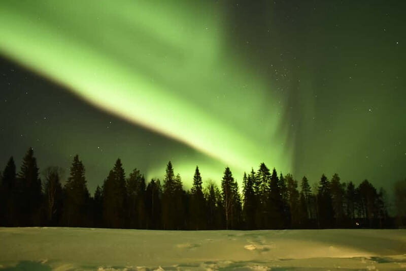 Rovaniemi: Snowtrain to Northern Lights Camp - What to Expect From the Experience