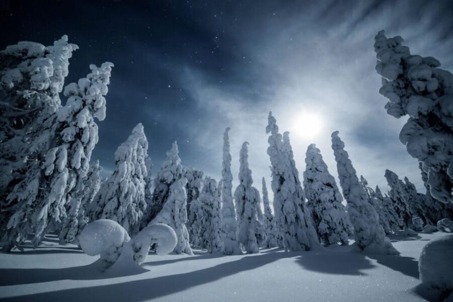 Rovaniemi: Snowy Forest Night Hike with Northern Lights - The Sum Up