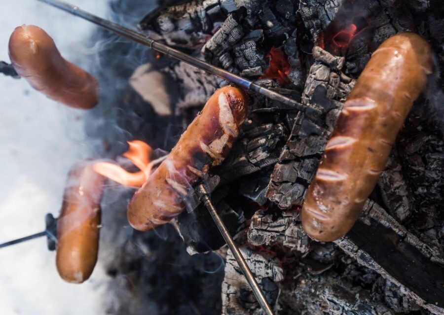 Rovaniemi: Wilderness Tour - An In-Depth Look at the Wilderness Tour