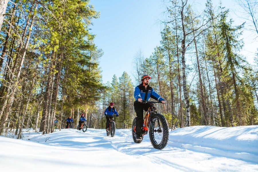 Rovaniemi: Winter eFatbike Tour in Snowy Forest - Key Points