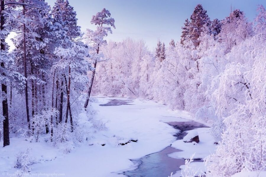 Rovaniemi: Winter Snowshoeing, Reindeer & Husky Sleigh Ride - Who Will Love This Tour?
