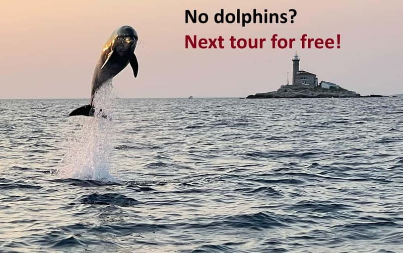 Rovinj: Dolphin Watching Sunset Speedboat Tour with Drinks - Analyzing the Value