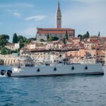 Rovinj: Sunset & dolphin group tours with Catamaran - The Experience Itself: Details and Atmosphere