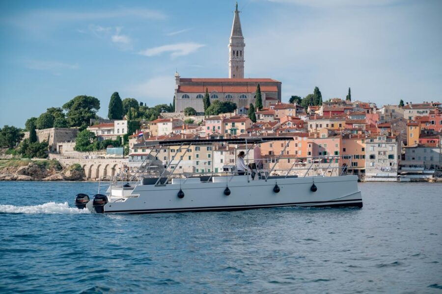 Rovinj: Sunset & dolphin group tours with Catamaran - The Experience Itself: Details and Atmosphere