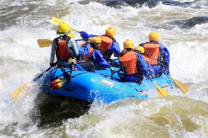 Royal Gorge Full Day Rafting - The Value of the Experience