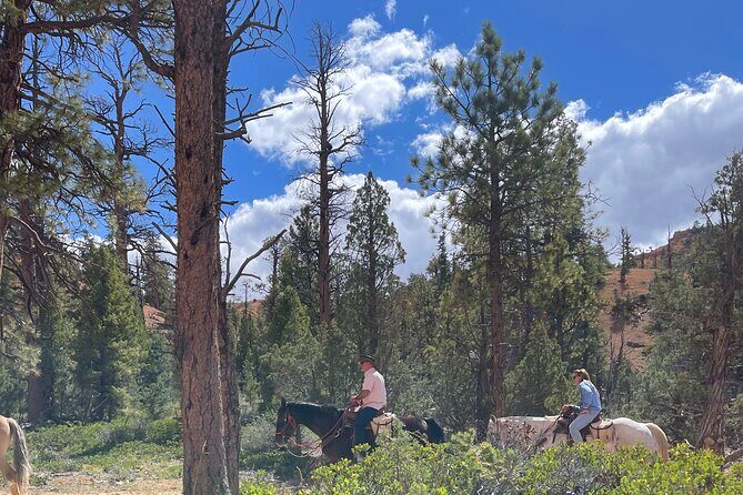 Ruby's Horseback Adventures All Day Ride - A Genuine Look at What the Ride Offers