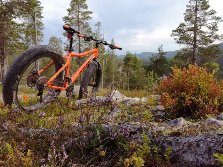 Ruka : Into the forest with fatbikes - What Makes This Tour Stand Out?