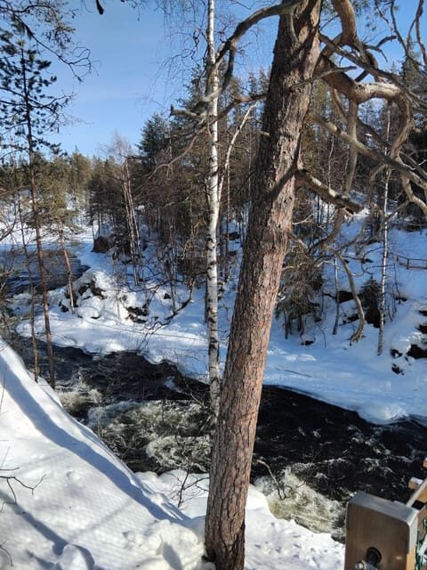 Ruka: Oulanka National Park Kìutaköngäs with lunch. - In-Depth Look at the Itinerary