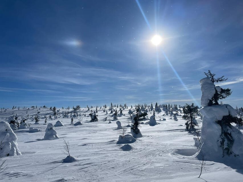 Ruka: Riisitunturi National Park with lunch. - The Return: Wrapping Up and Reflecting