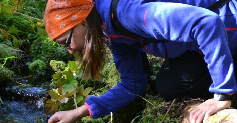 Ruka : Strength from nature  Hiking trip - Who Is This Tour Best For?