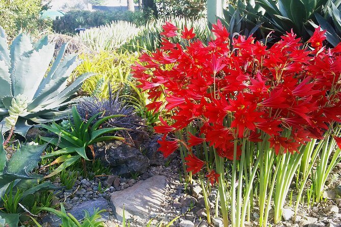 Ruth Bancroft Garden General Admission Ticket - Who Will Love the Ruth Bancroft Garden?