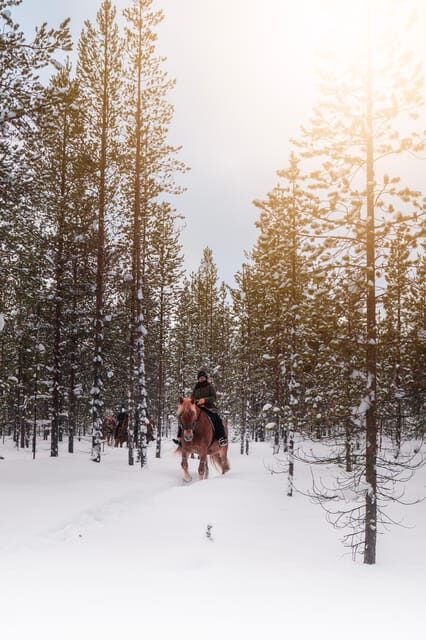 Saariselkä: Arctic Trail Horse Riding Tour - An In-Depth Look at the Experience