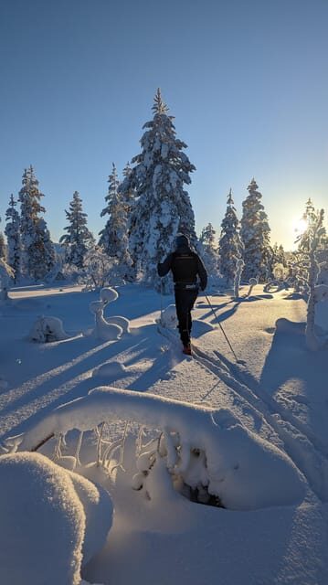 Saariselkä: Back-Country Skiing Guided Tour - What Is Back-Country Skiing in Saariselkä?