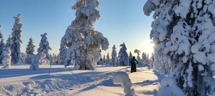 Saariselkä: Guided Fatbike Tour - Who Will Love This Tour?