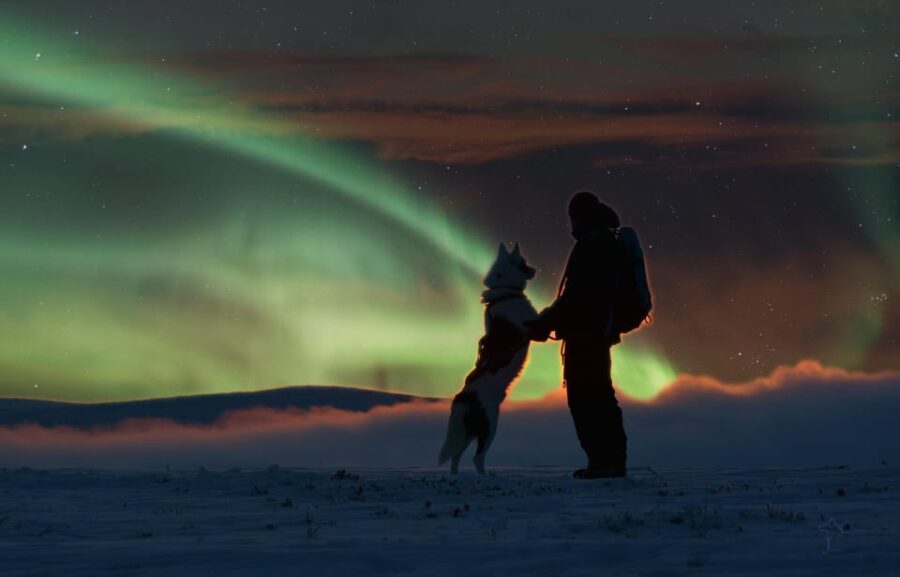 Saariselkä: Husky Safari with Aurora Borealis Hunt - What Makes This Tour Stand Out