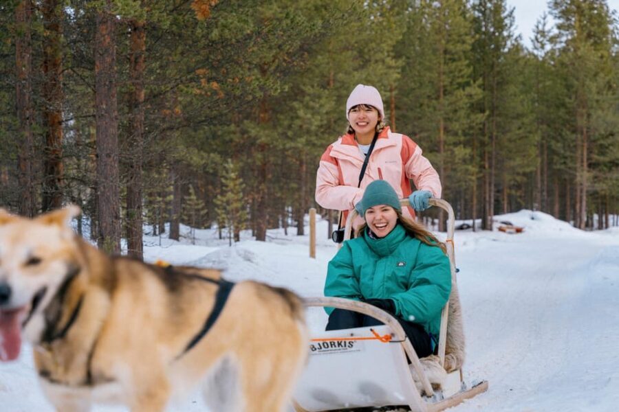 Saariselkä: Husky Safari with kennel visit - What to Expect from the Husky Safari Tour
