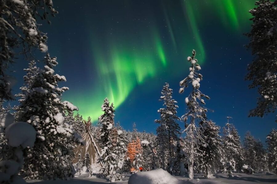 Saariselkä: Northern Lights Hunting Snowshoe Trip - Diving Deeper Into the Experience