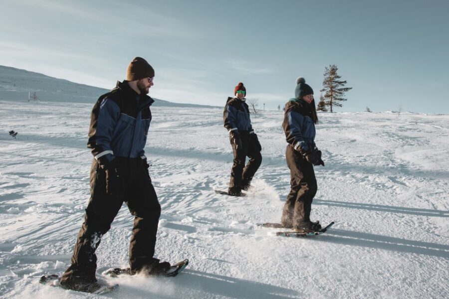 Saariselkä: Scenic Snowshoe Safari - Why This Tour Represents Good Value