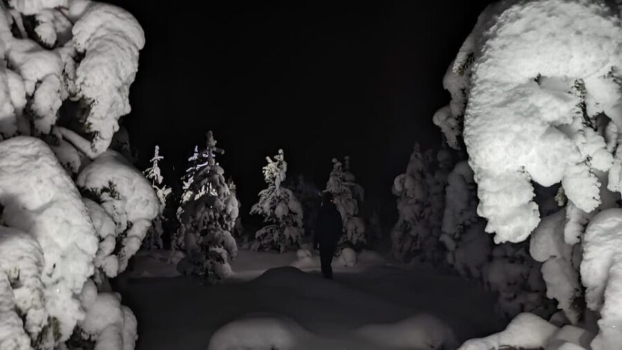 Saariselkä: Snowshoeing Tour in Urho Kekkonen National Park - The Value of the Equipment and Guidance