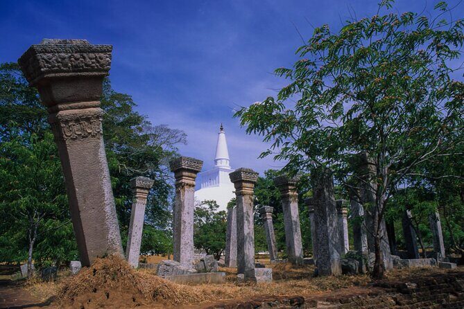 Sacred City of Anuradhapura from Colombo - Mirisawetiya Stupa: A Sacred Landmark