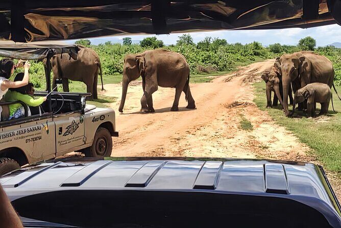 Safari Expedition's in Wild Wonders of Yala - The Itinerary Breakdown