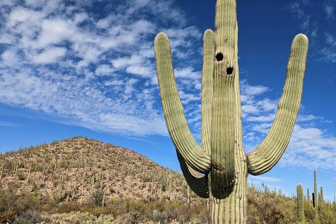 Saguaro National Park Self-Guided Audio Tour - FAQs