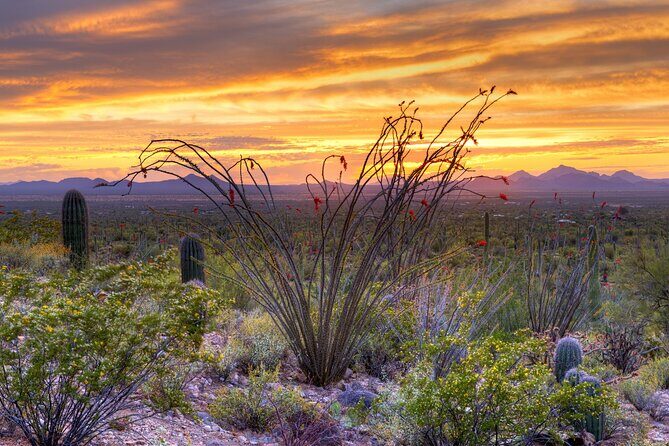 Saguaro NP and Mt. Lemmon Self Guided Driving Audio Tour Bundle - Final Thoughts