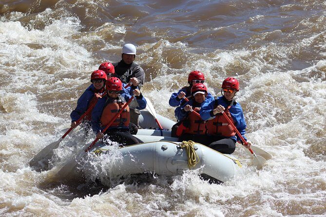 Salt River Half-Day Whitewater Rafting Adventure - What Makes This Experience Special?