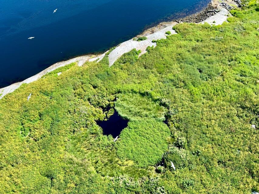 Saltstraumen: Arctic Adventure and Scenic Journey - What Makes This Tour Stand Out