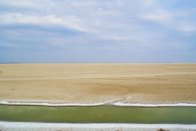 Sambhar Tour - temples, salt lake, bird watching, heritage walk - Who Would Love This Tour?