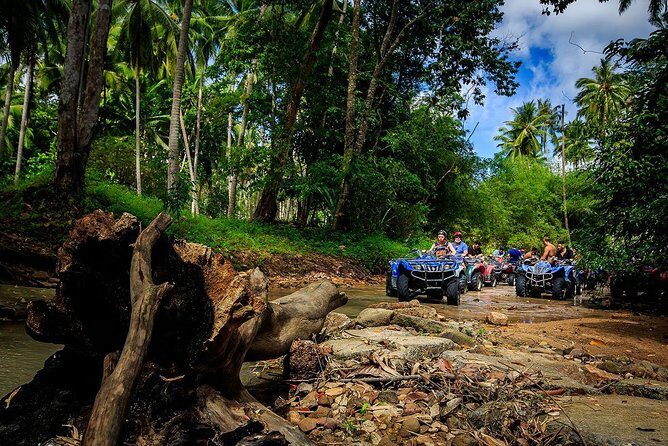 Samui ATV Quad Bike 1 Hour Tour - The Sum Up