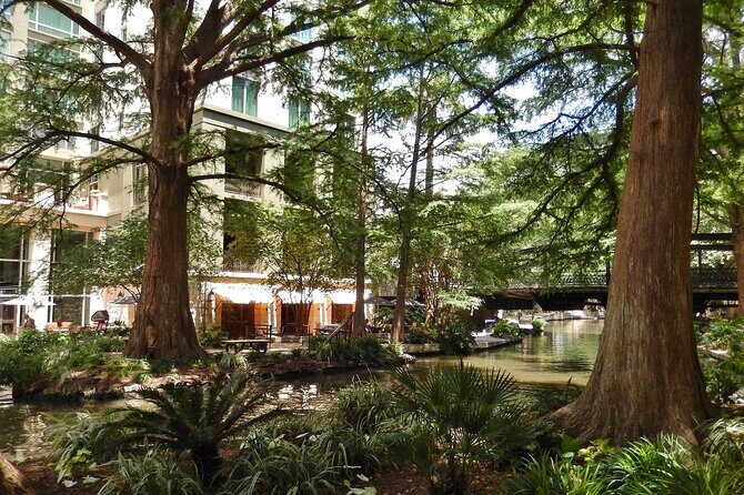 San Antonio Scavenger Hunt Walking Tour and Game - What You’ll Love and What to Consider