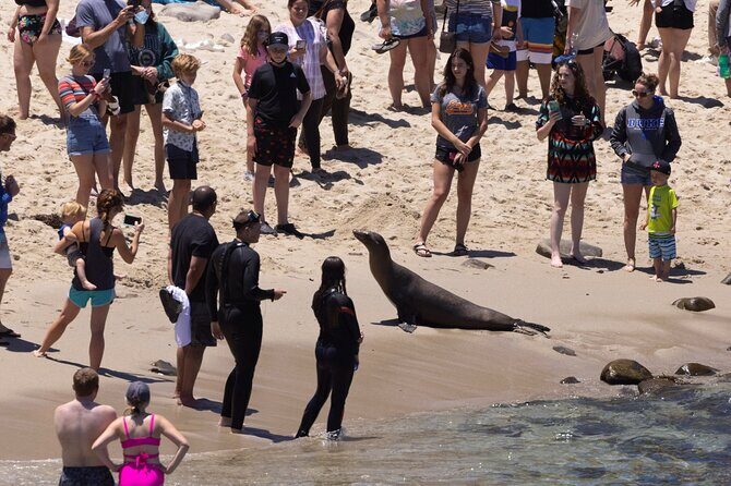 San Diego, and La Jolla Scenic Private Tour from Los Angeles. - The Practicalities and What You Get