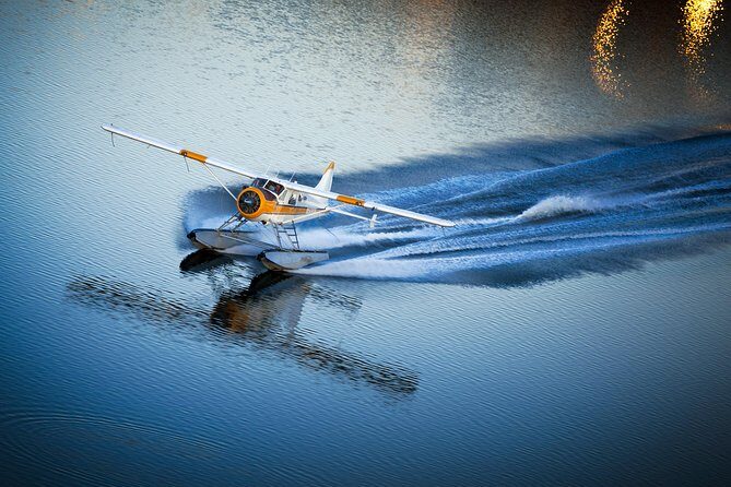 San Francisco 1-Hour Seaplane Tour with Shuttle Transport - What to Expect: Comfort, Practicalities, and Tips