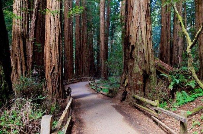 San Francisco: Coastal Redwoods Tour and Hop-on Hop-off Bus Tour - Final Thoughts: Is This Tour Right for You?
