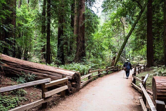 San Francisco, Golden Gate, Sausalito and Muir Woods Private Tour - FAQs